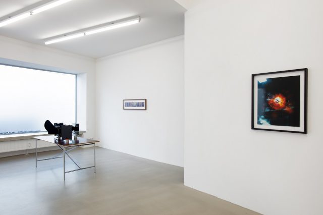Steven Pippin - Galerie Pfab